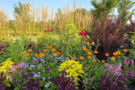 Summer Art Exhibit: Forest Forms | Visit Overland Park
