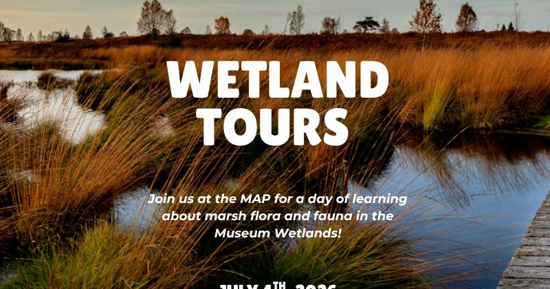 Wetlands Trail Tours | Visit Overland Park