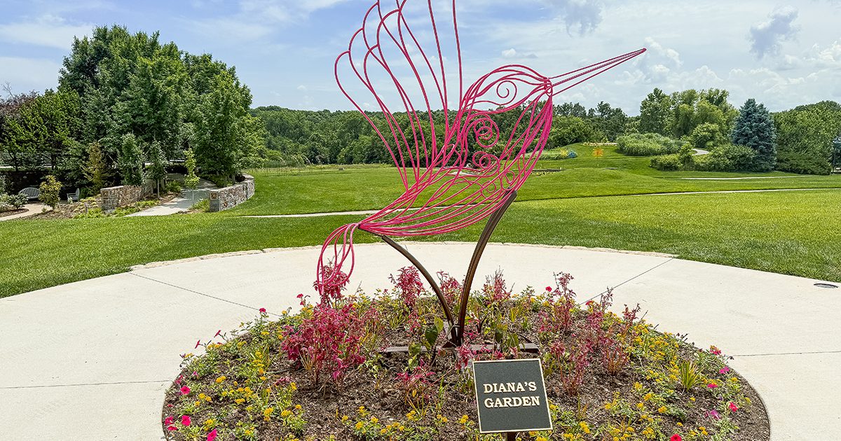 Summer Art Exhibit: Forest Forms | Visit Overland Park