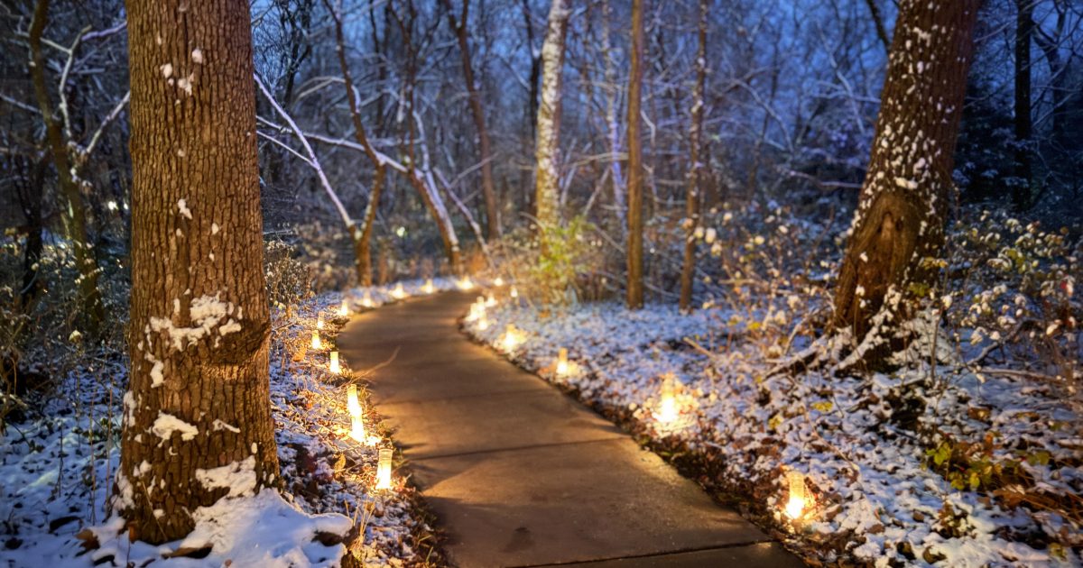 Luminary Walk | Visit Overland Park