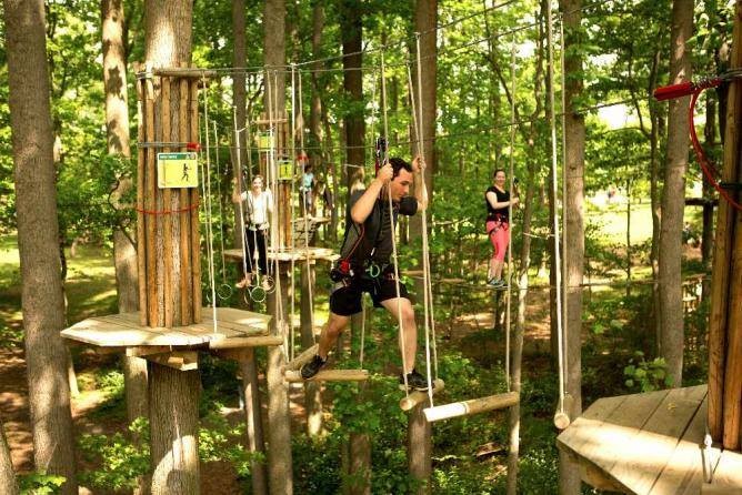 Go Ape Zip Line & Treetop Adventure | Visit Overland Park