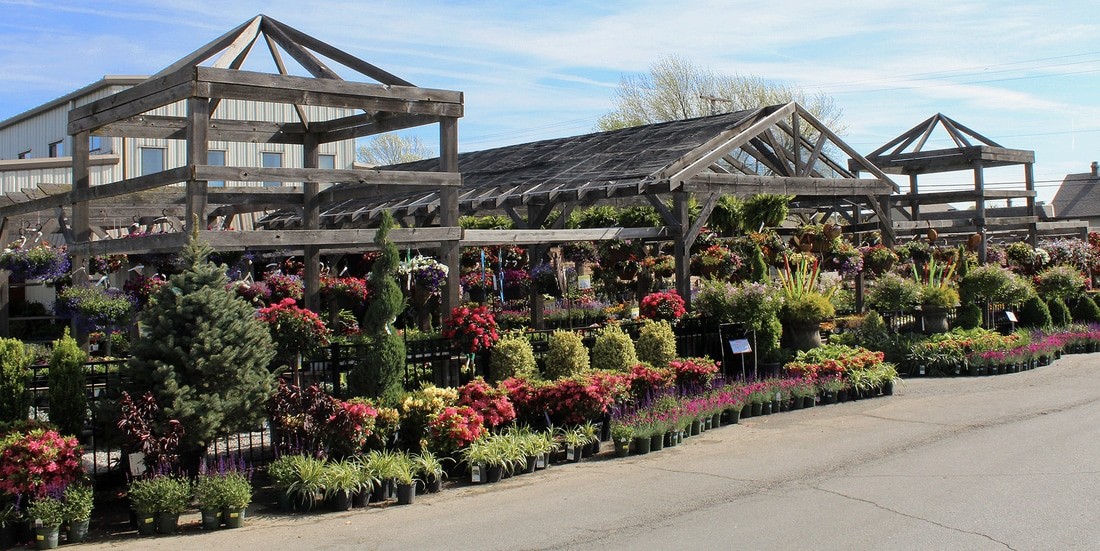 Family Tree Nursery Overland Park Ks